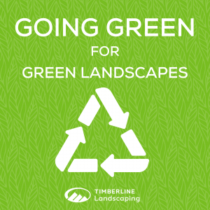 Going Green for Green Landscapes - Timberline Landscaping