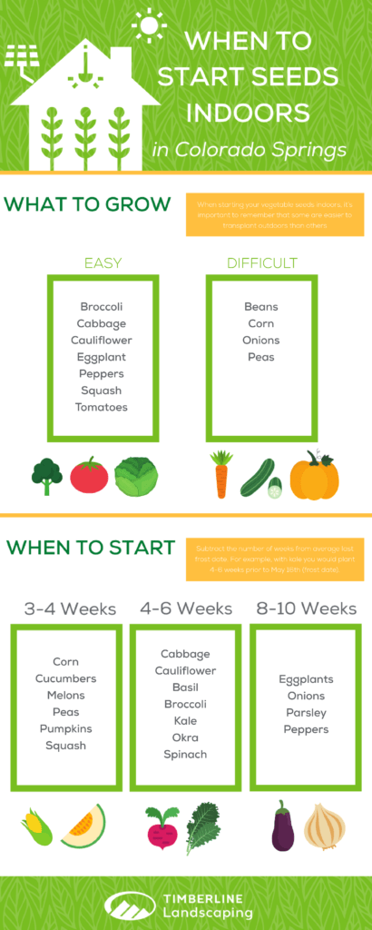 Starting Your Seeds Indoors - Timberline Landscaping