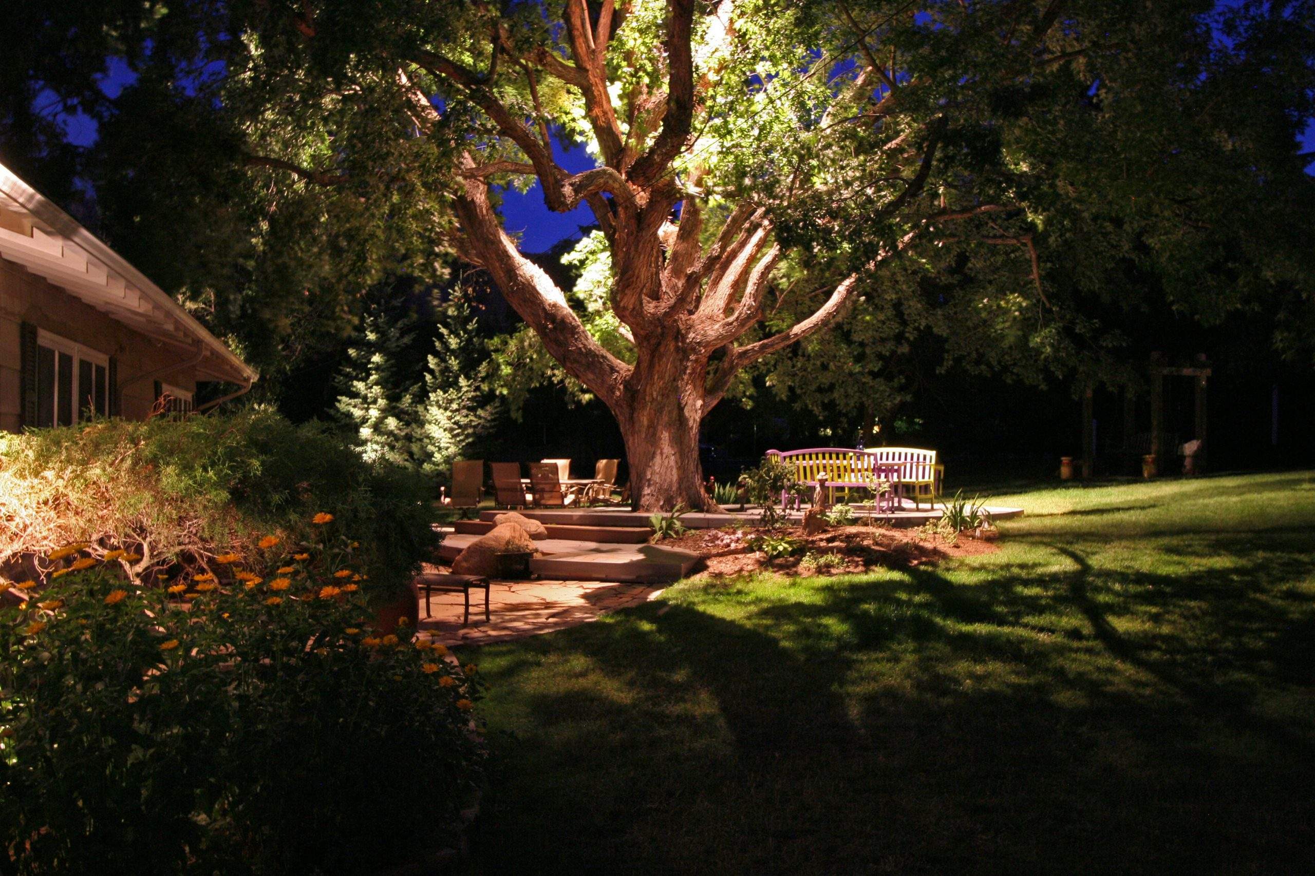 Lit Tree at Night - Timberline Landscaping