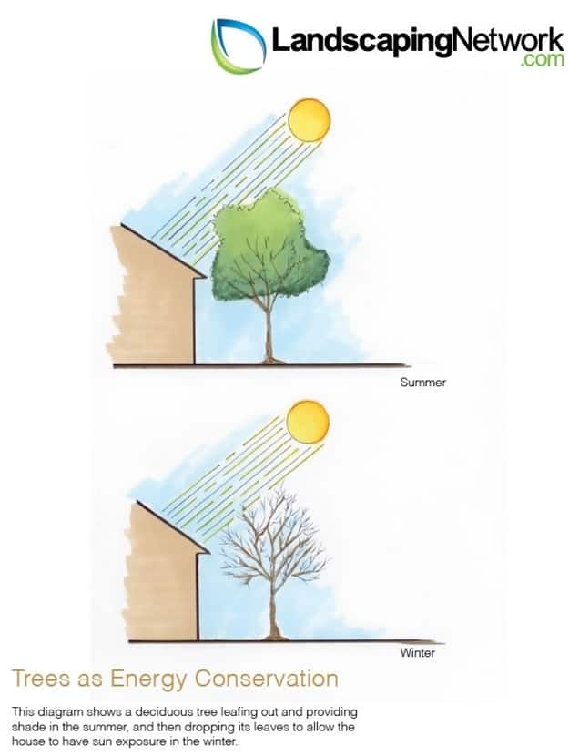 How Landscaping Can Increase Energy Efficiency - Timberline Landscaping