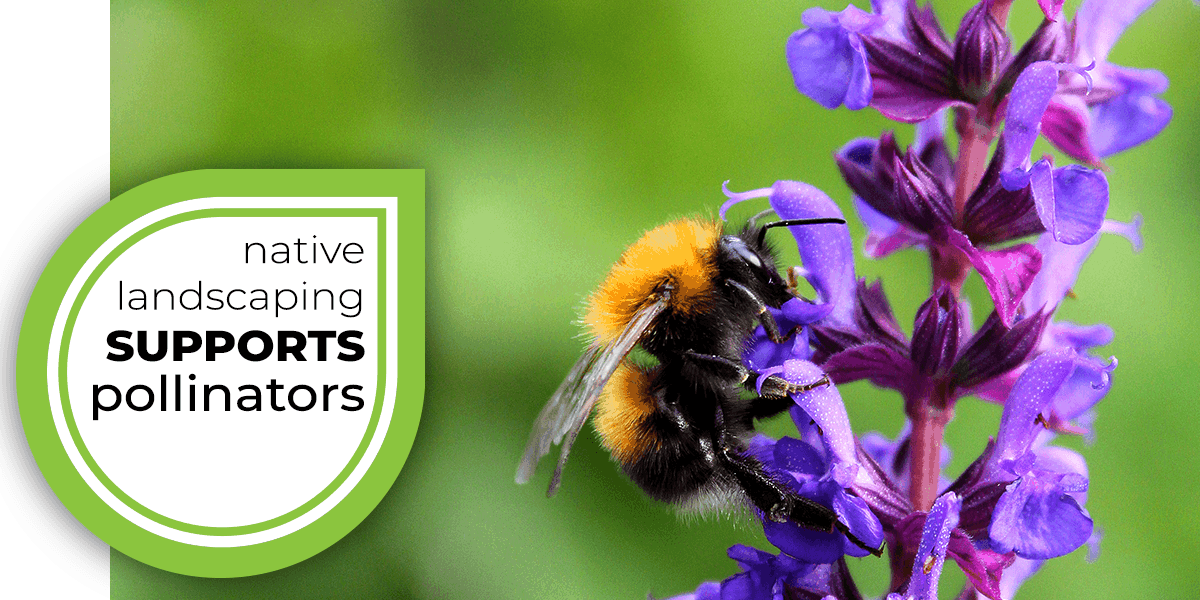 7 Ways to Make Your Colorado Landscape More Eco and Environmentally ...