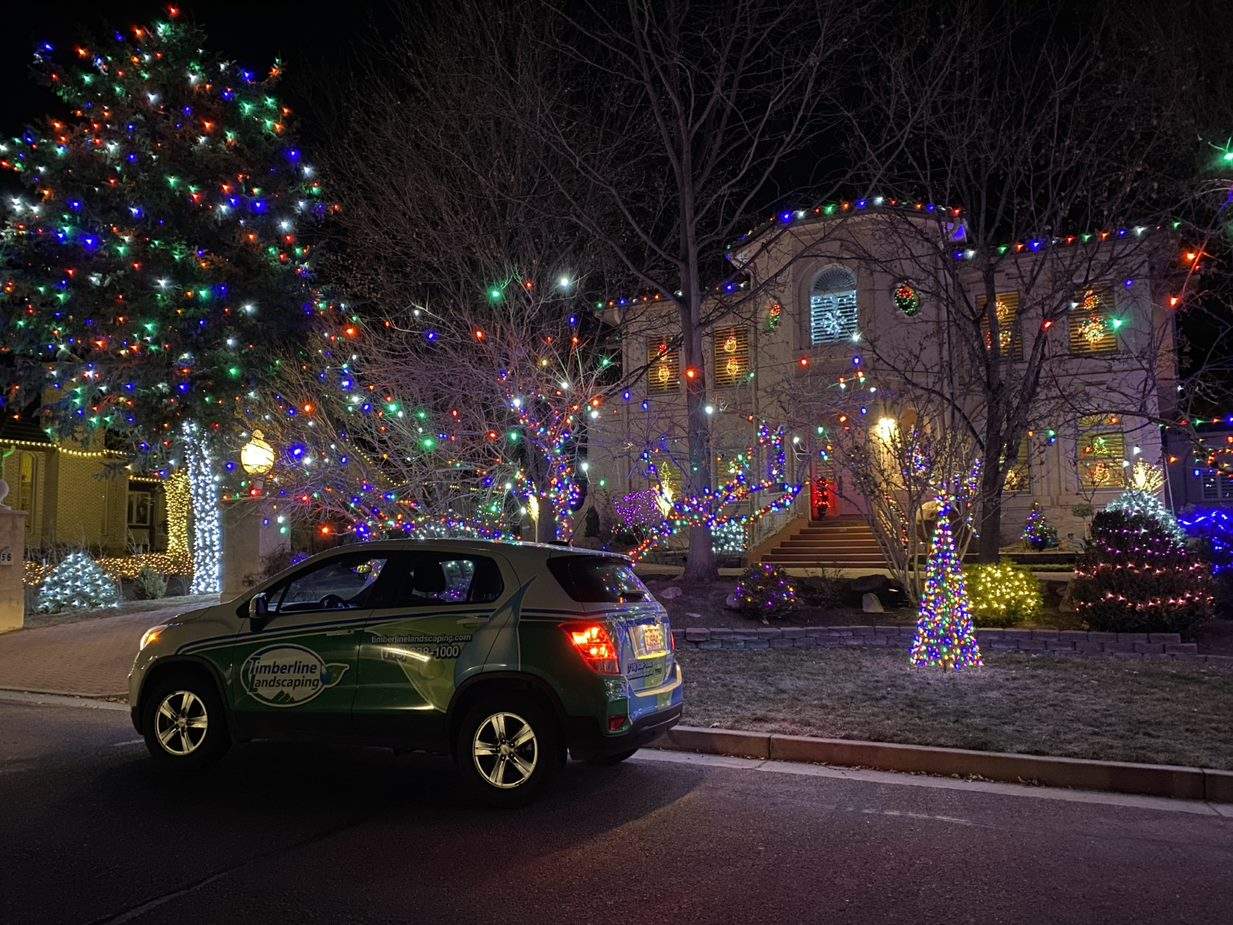 Choosing the Right Christmas Lights for Your Landscape - Timberline ...