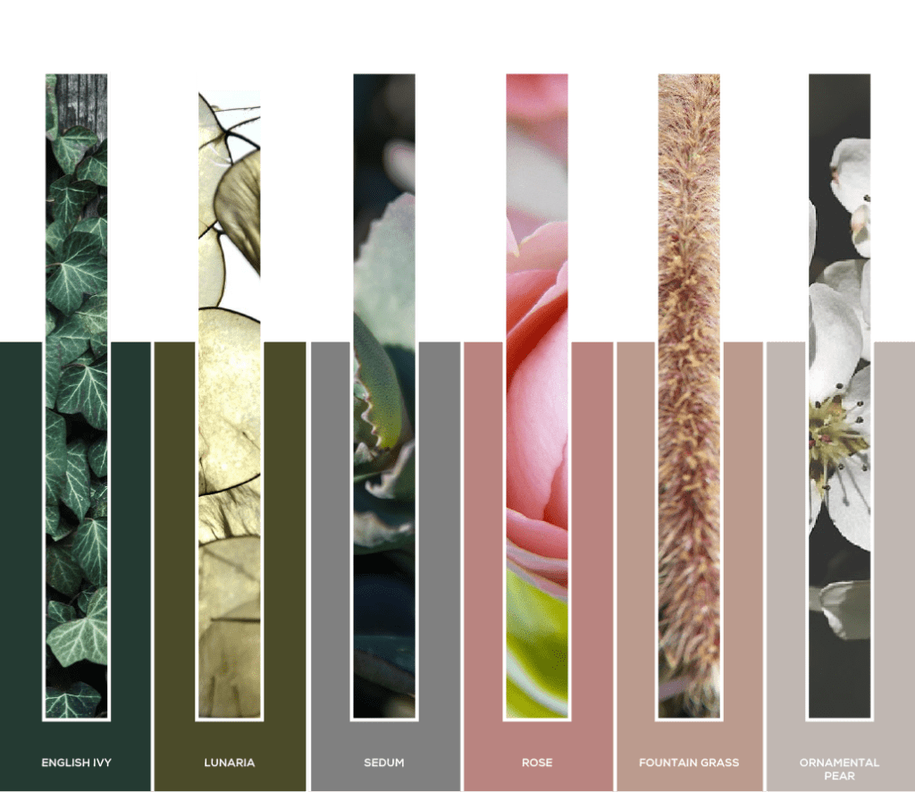 10 Garden Color Palettes to Create An Amazing Ambiance In Your Outdoor ...