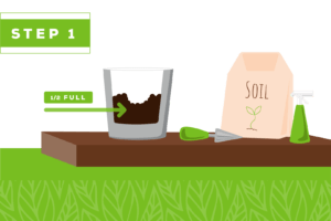 Step-By-Step Guide To Repotting All Your Plants [With 8 Do and Do Not’s ...