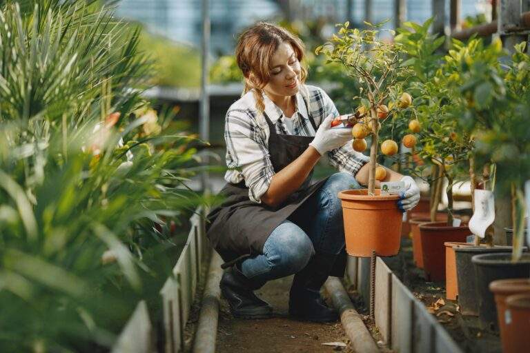 How To Effectively Deadhead Plants, Why, and When You Should Do It ...