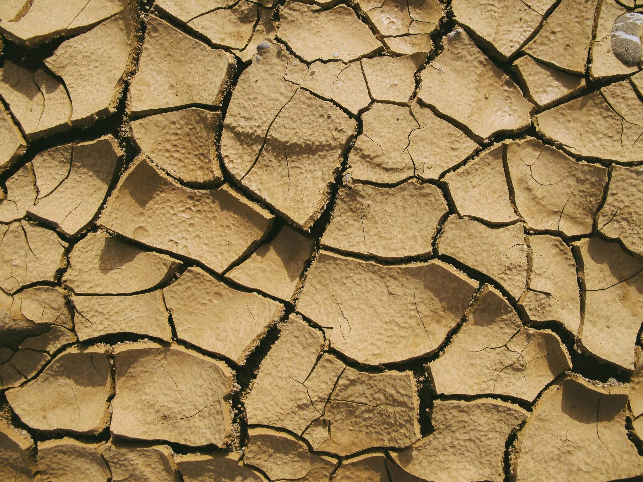 Unearthing the Art of Watering: Navigating Colorado's Diverse Soil ...