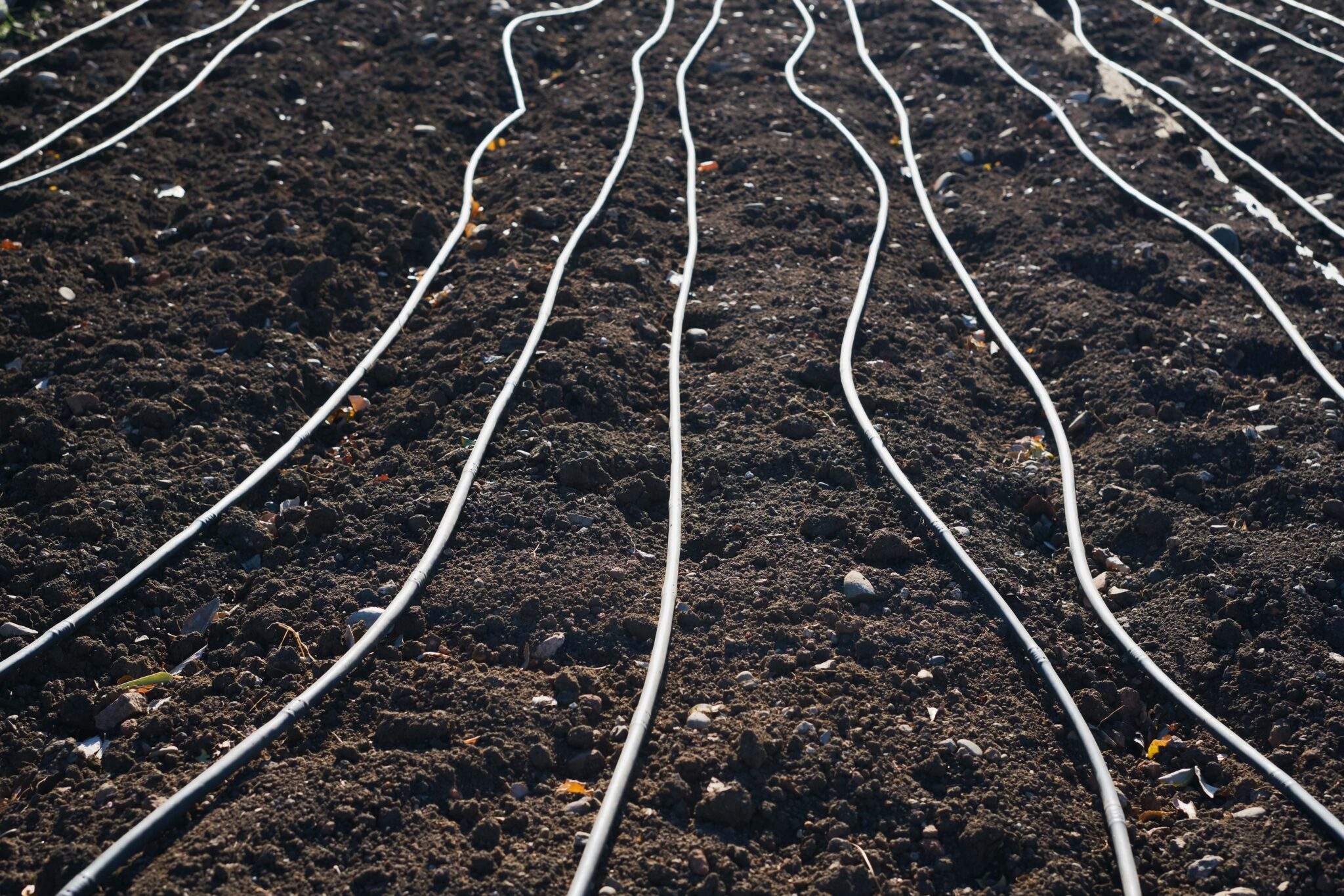 Unearthing the Art of Watering: Navigating Colorado's Diverse Soil ...
