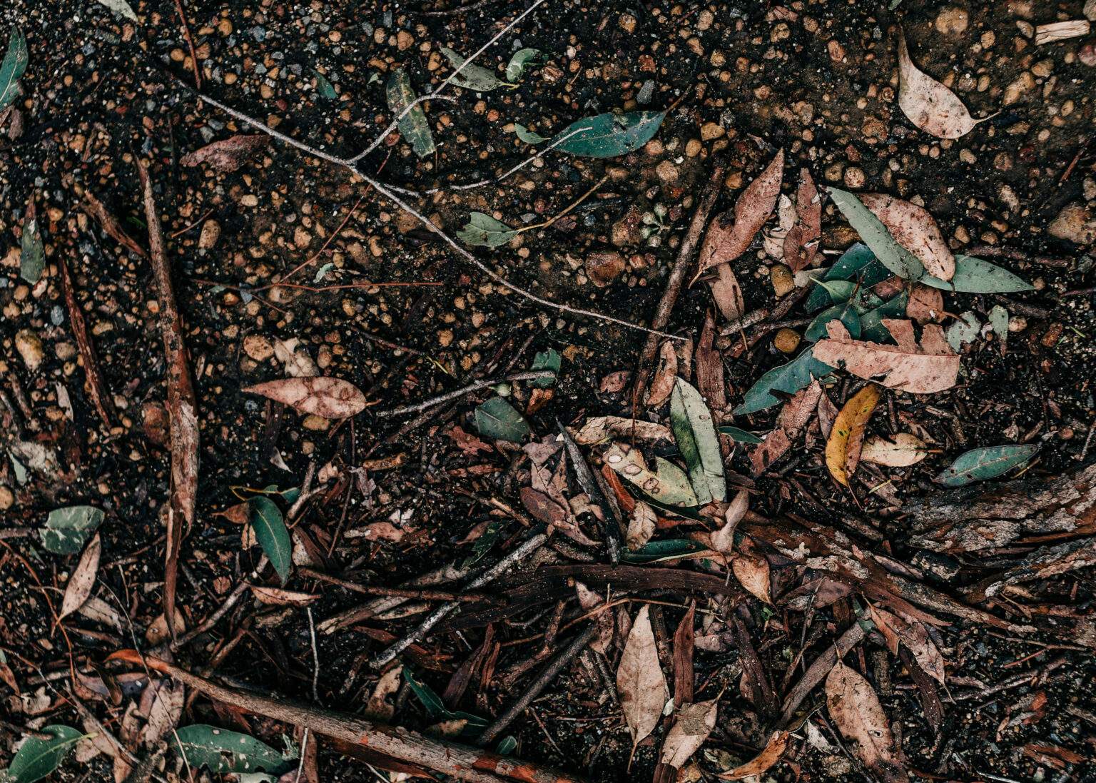 Unearthing the Art of Watering: Navigating Colorado's Diverse Soil ...