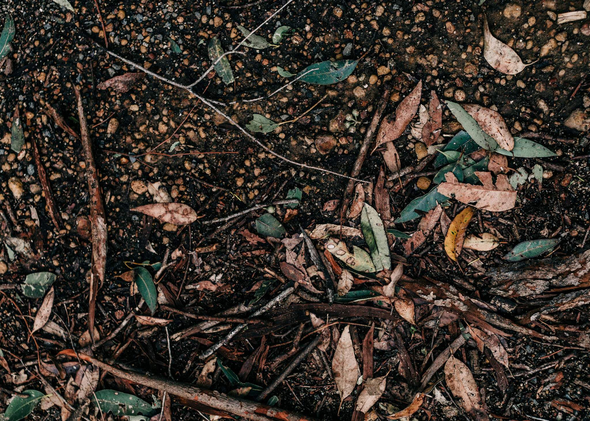 Unearthing the Art of Watering: Navigating Colorado's Diverse Soil ...