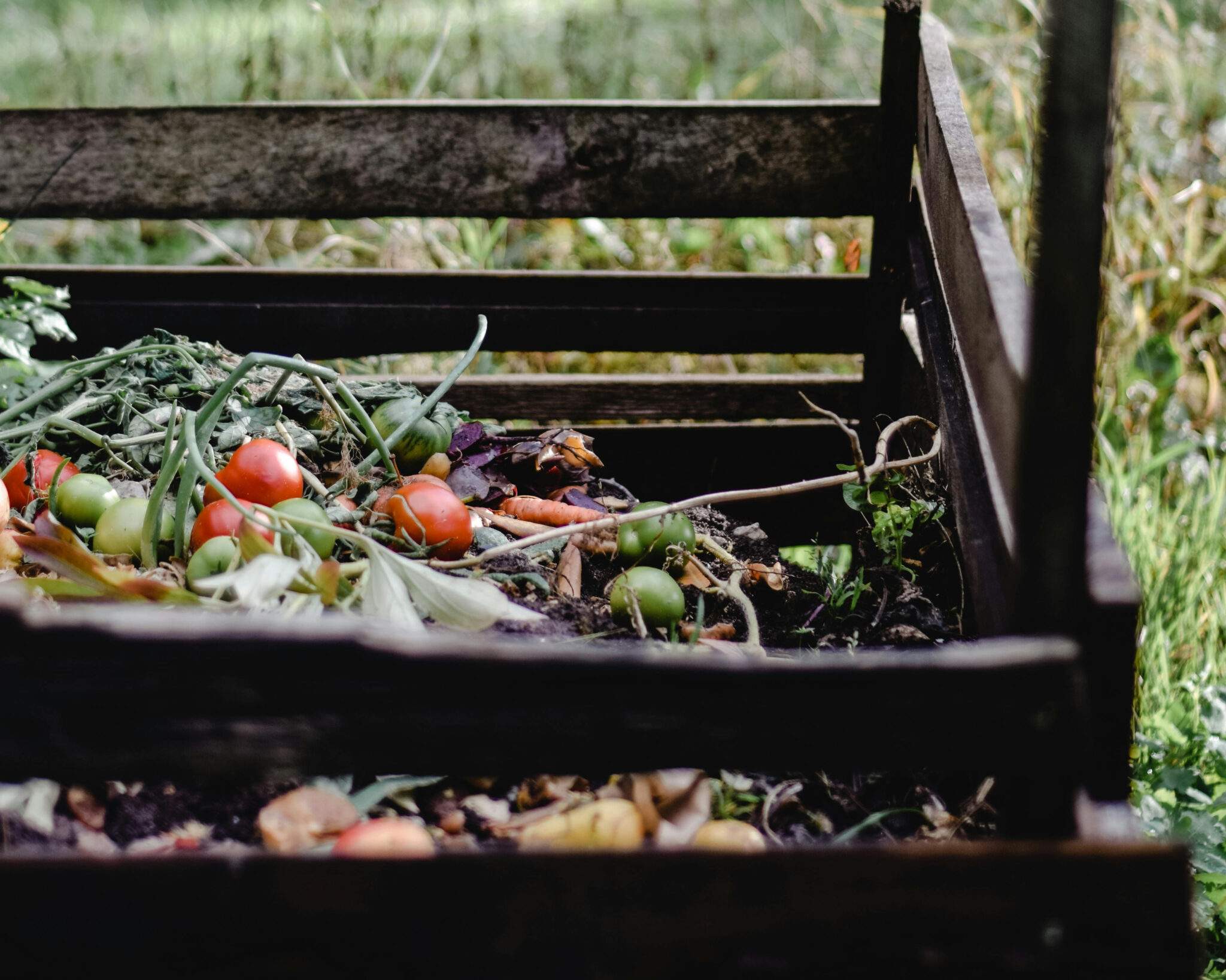 Unearthing the Art of Watering: Navigating Colorado's Diverse Soil ...