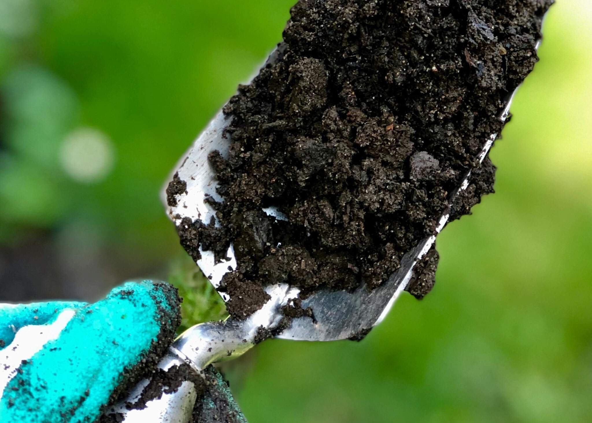 Unearthing the Art of Watering: Navigating Colorado's Diverse Soil ...