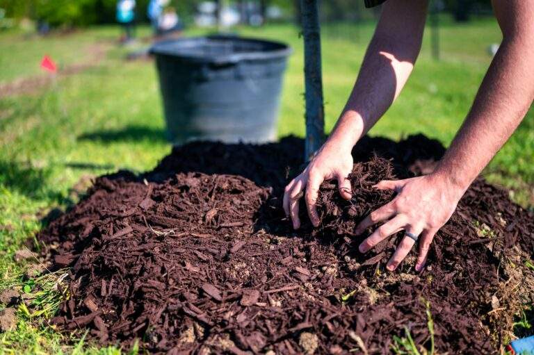 Unearthing the Art of Watering: Navigating Colorado's Diverse Soil ...