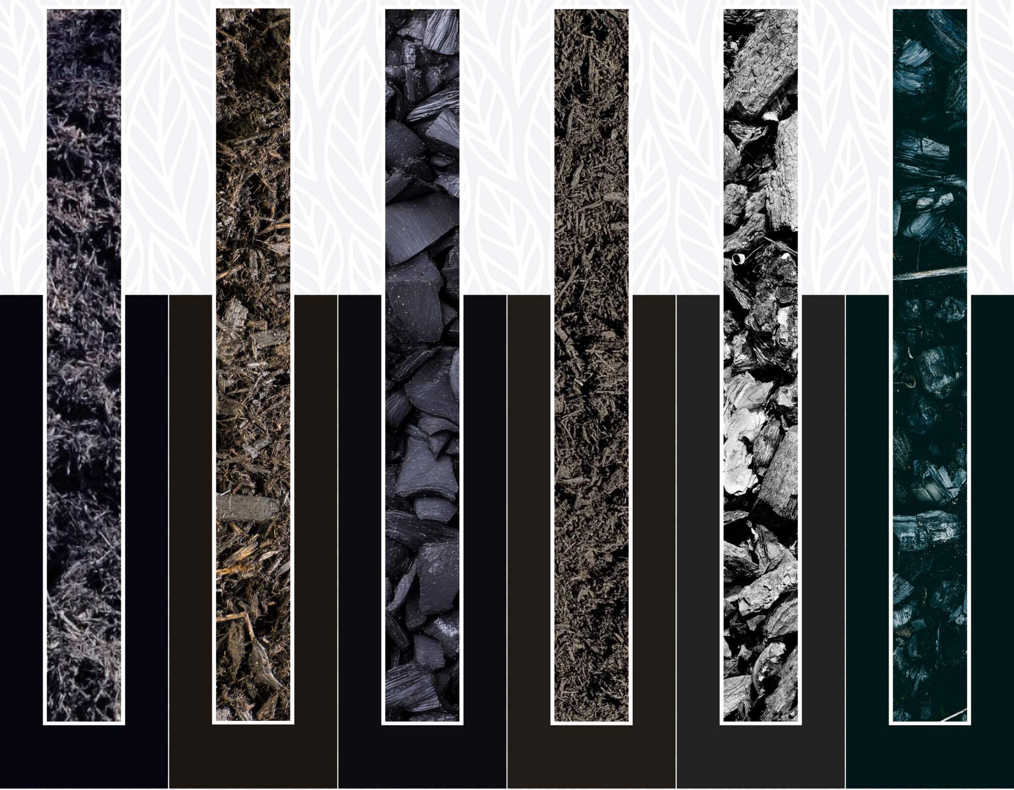 The Allure of the Dark: Goth Garden Tips for the Bold Colorado Gardener ...